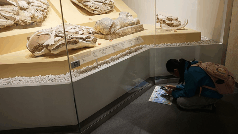 Beijing Unveils High-Tech Plan to Digitize and Preserve Ancient Relics ...