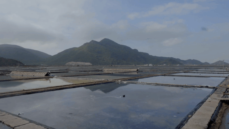 Zhejiang’s Ancient Sea Salt Craft: Guardians of the Blue Planet - My ...