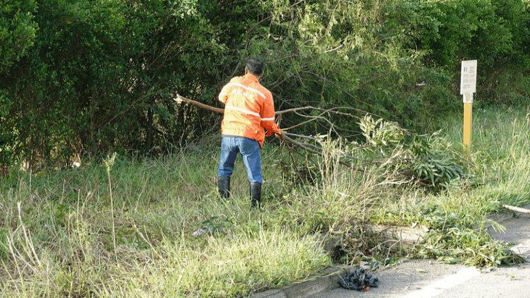Typhoon Matmo Strikes Guangxi and Yunnan: 20,000 Relief Kits Deployed ...